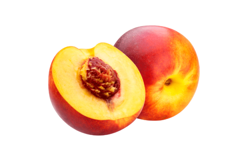 Nektarin - Planteportalen